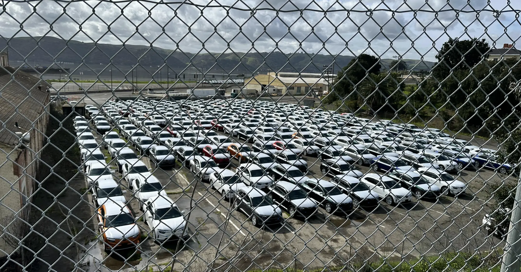 VinFast Car Crash: Family of Four Killed | Hunterbrook Media