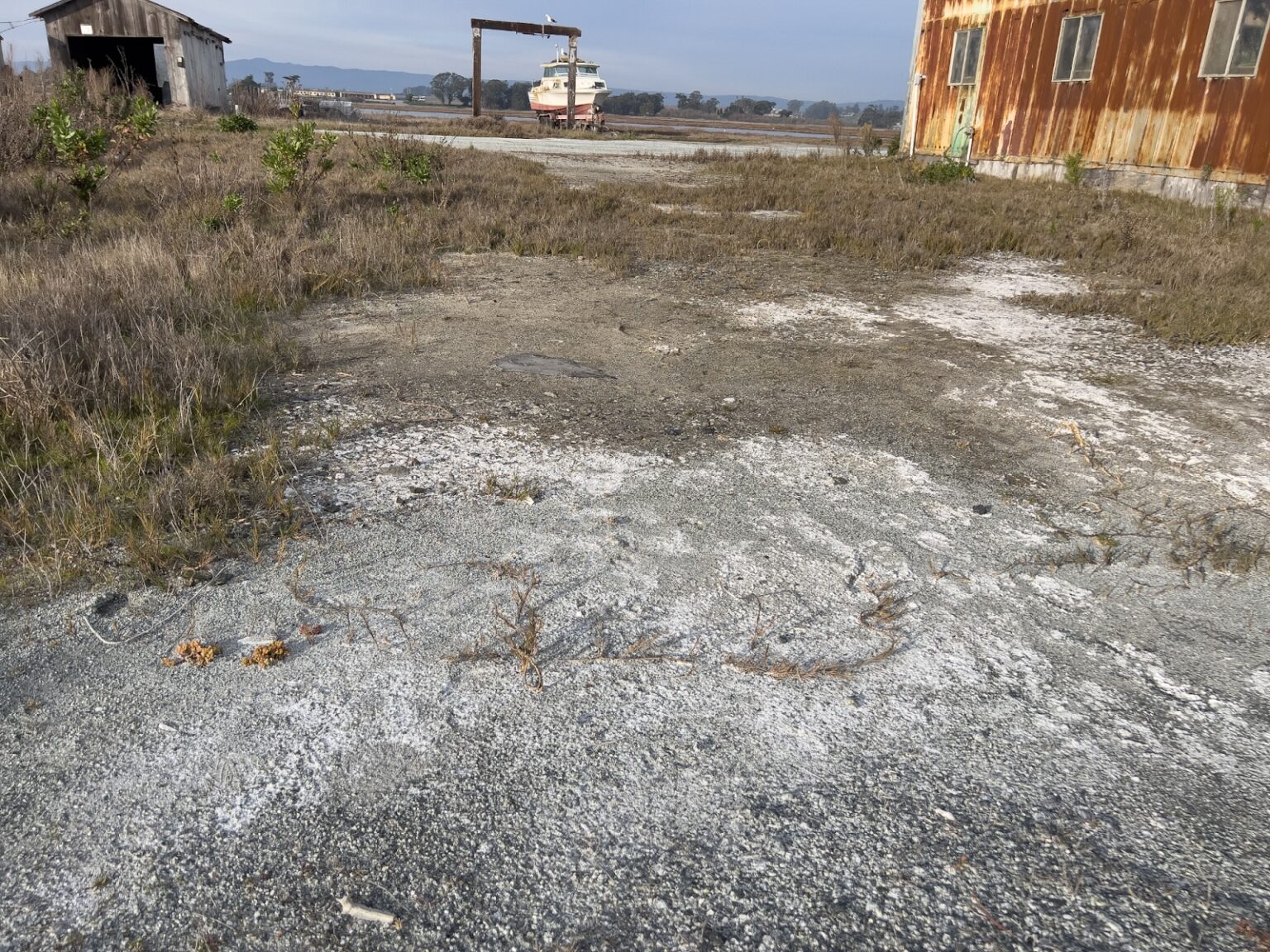 After Vistra Fire, Residents Report Illness, Scientists Confirm ...